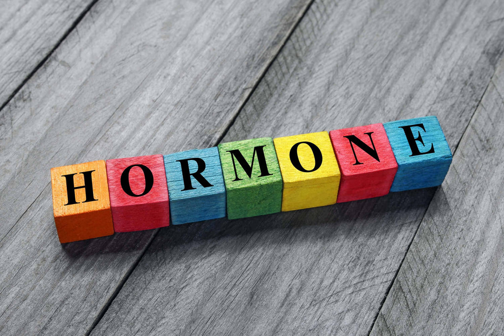 Les hormones : ce que vous ne saviez peut-être pas